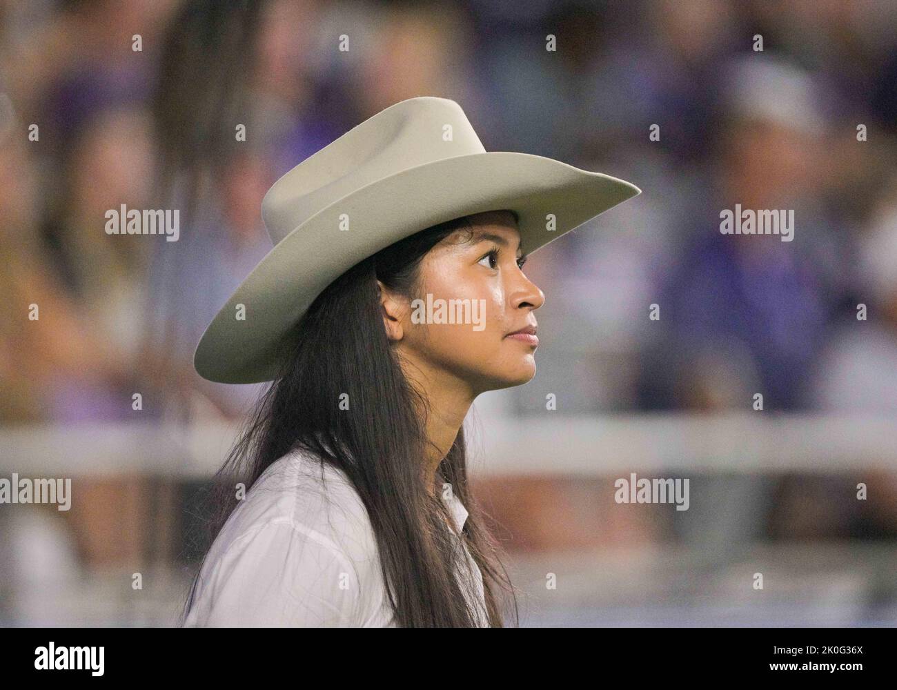 Tarleton state hi-res stock photography and images - Alamy