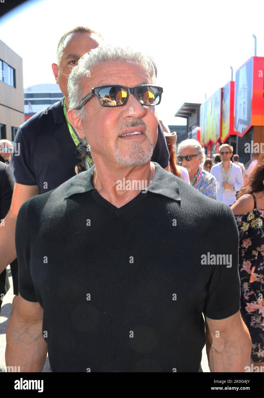 Italian stallone hi-res stock photography and images - Alamy