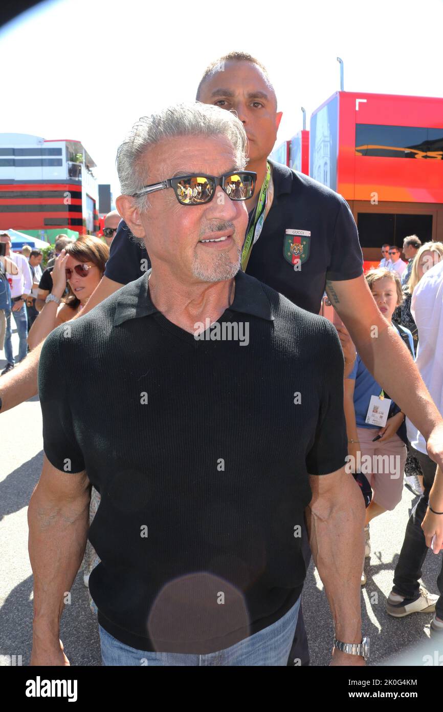 Italian stallone hi-res stock photography and images - Alamy