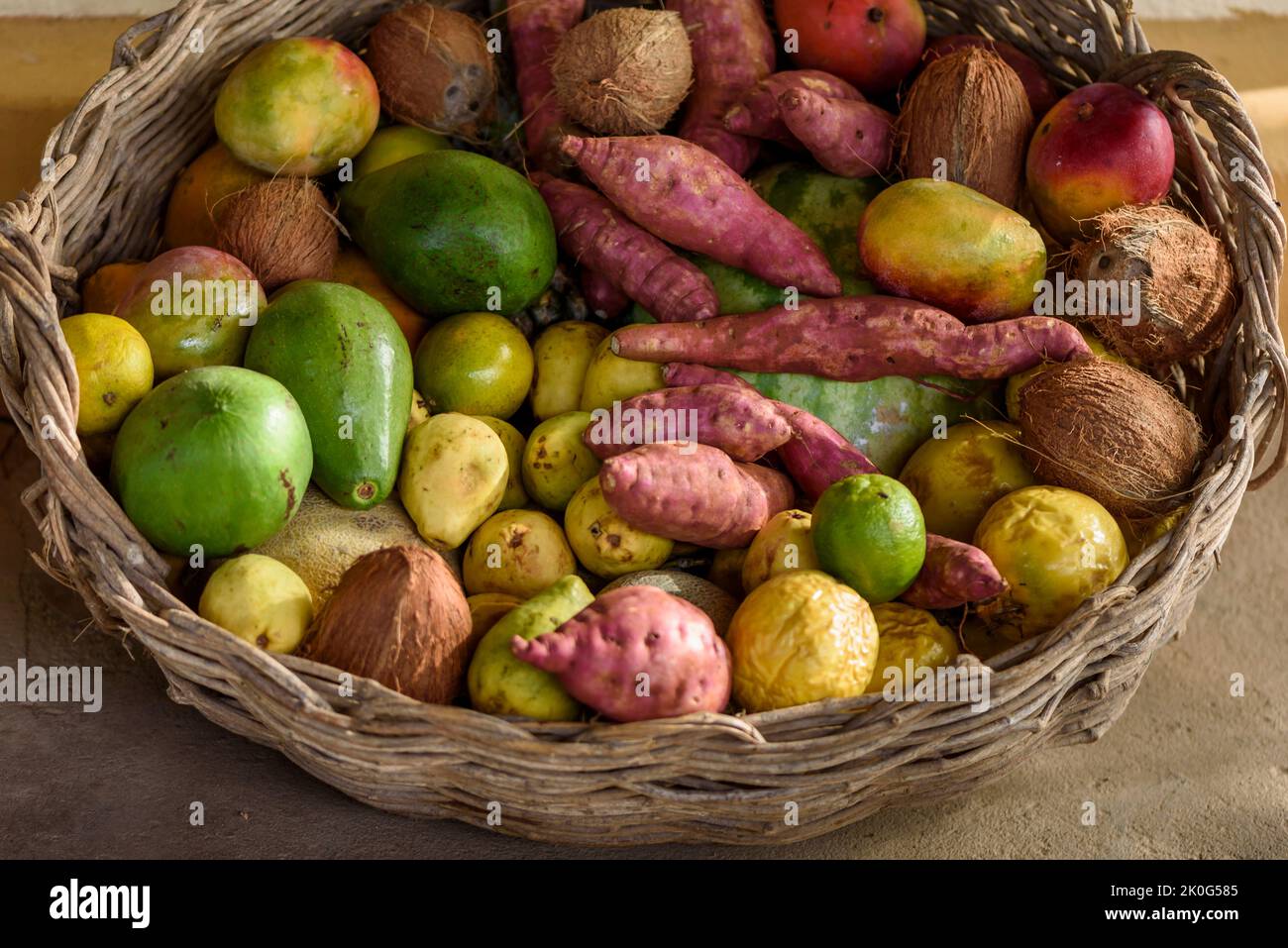 Organic Brazilian agricultural products in basket. Avocado, sweet ...