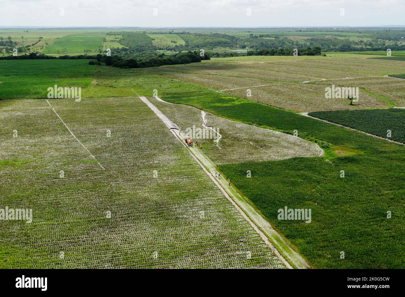 Brazil plantation aerial hi-res stock photography and images - Alamy