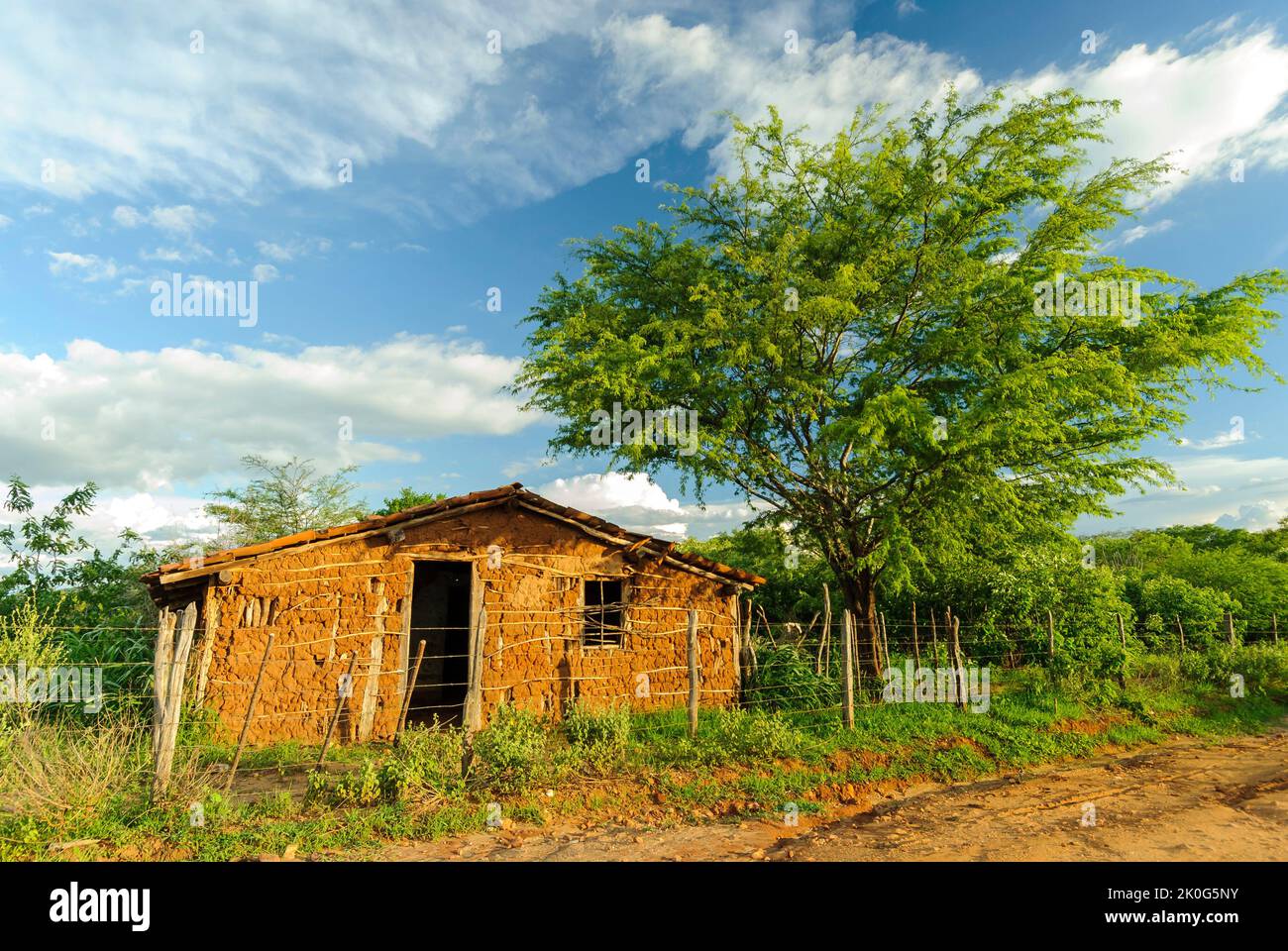 Brazil rural poverty hi-res stock photography and images - Alamy
