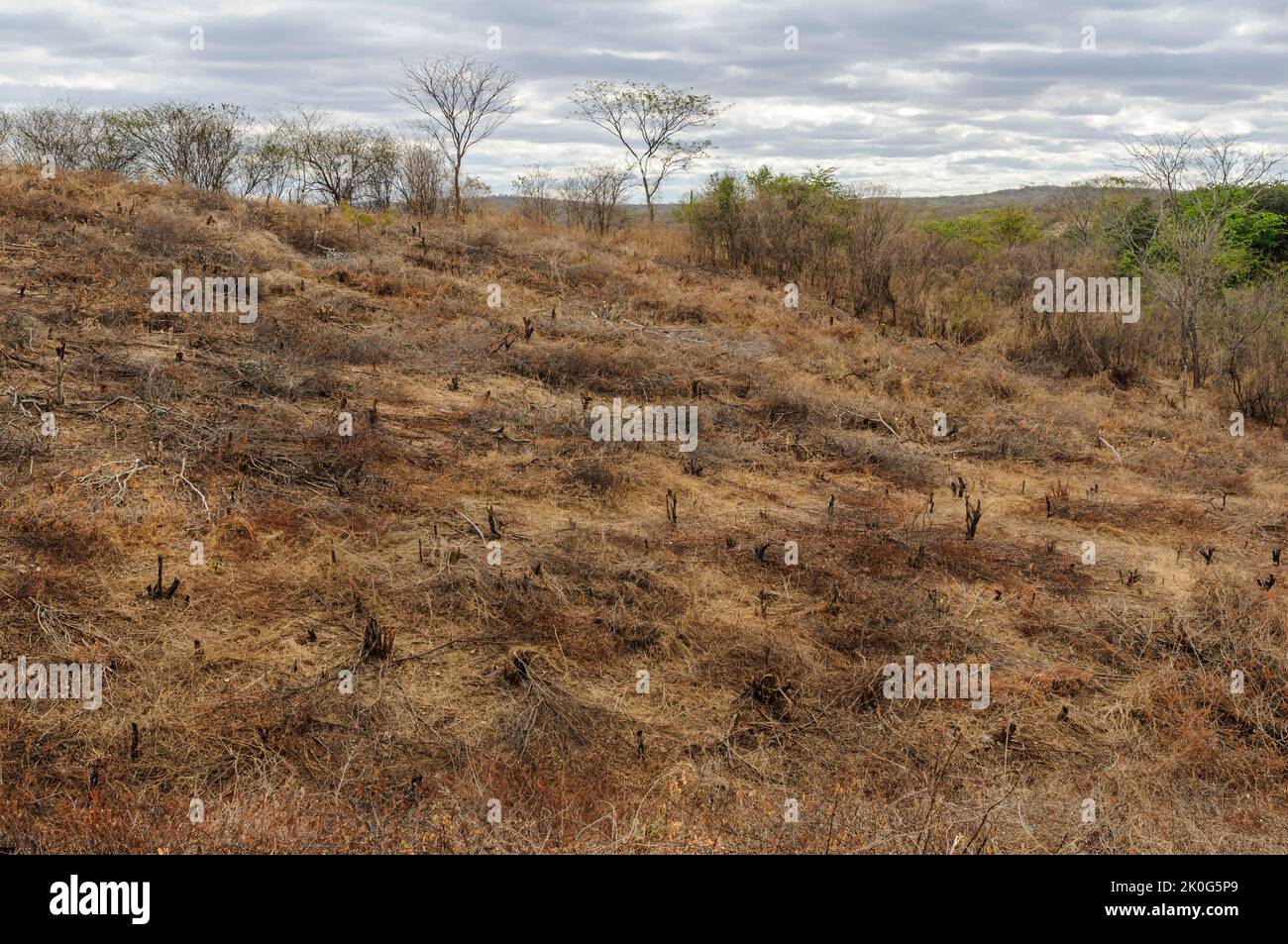 Ambiental disaster hi-res stock photography and images - Alamy