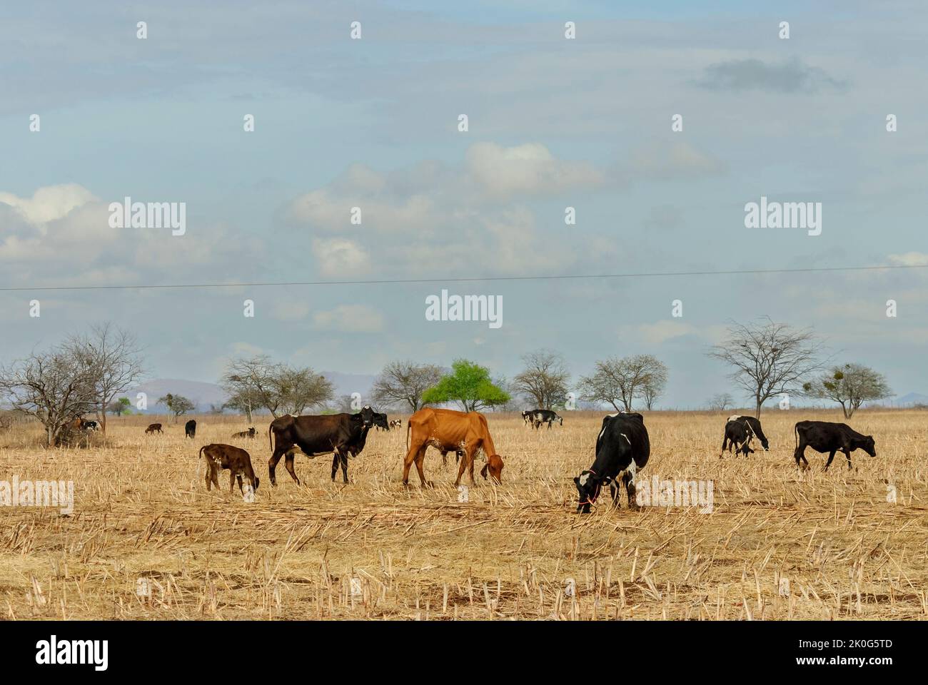 Reservoir drought brazil hi-res stock photography and images - Alamy