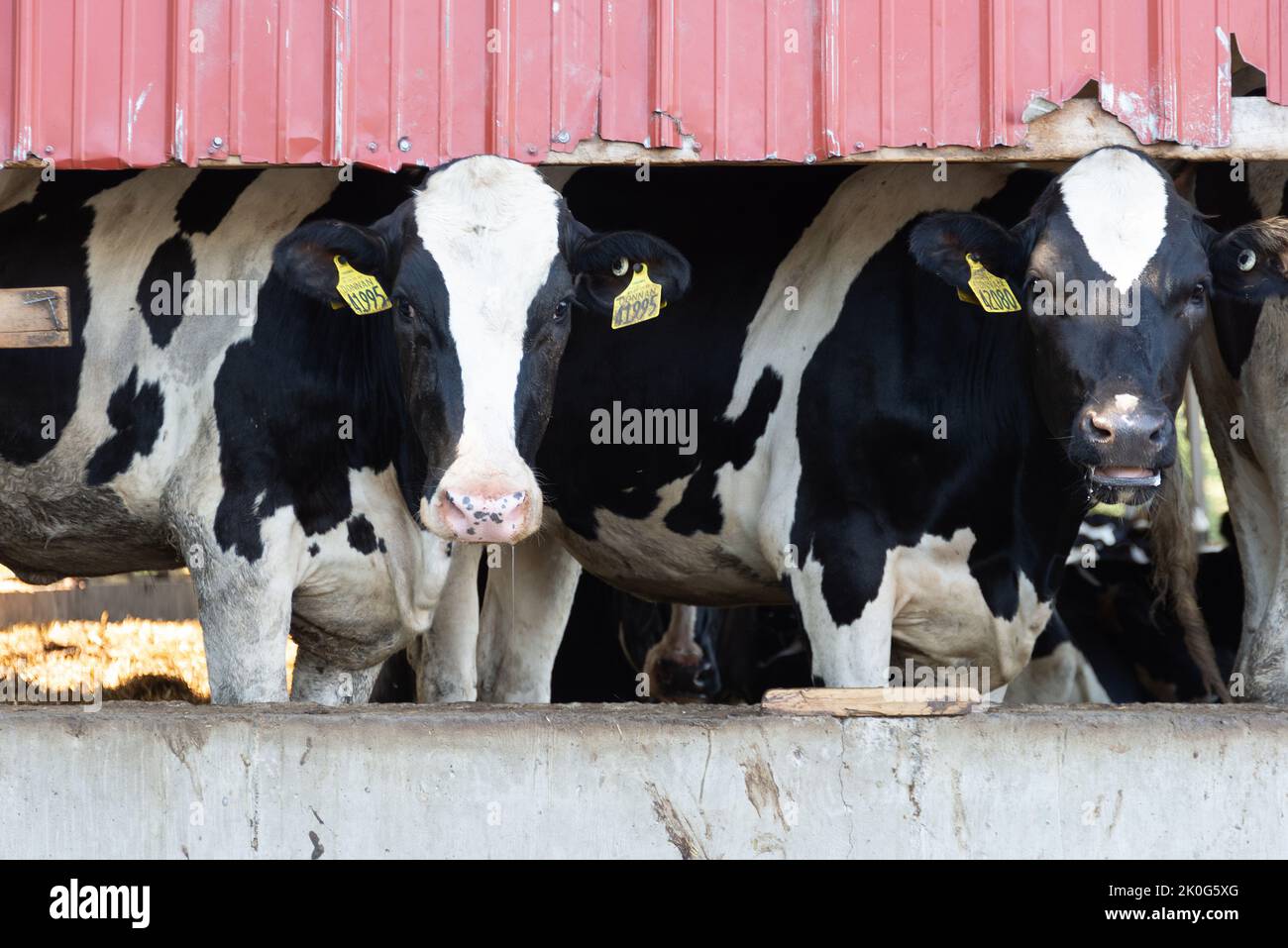 Donnan farms hi-res stock photography and images - Alamy