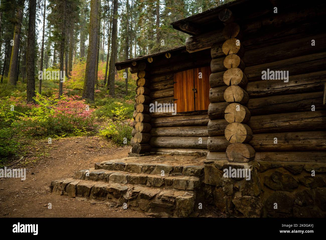 Cabin With Fall Color In The Merced Gove Of Giant Sequoias in Yosemite ...