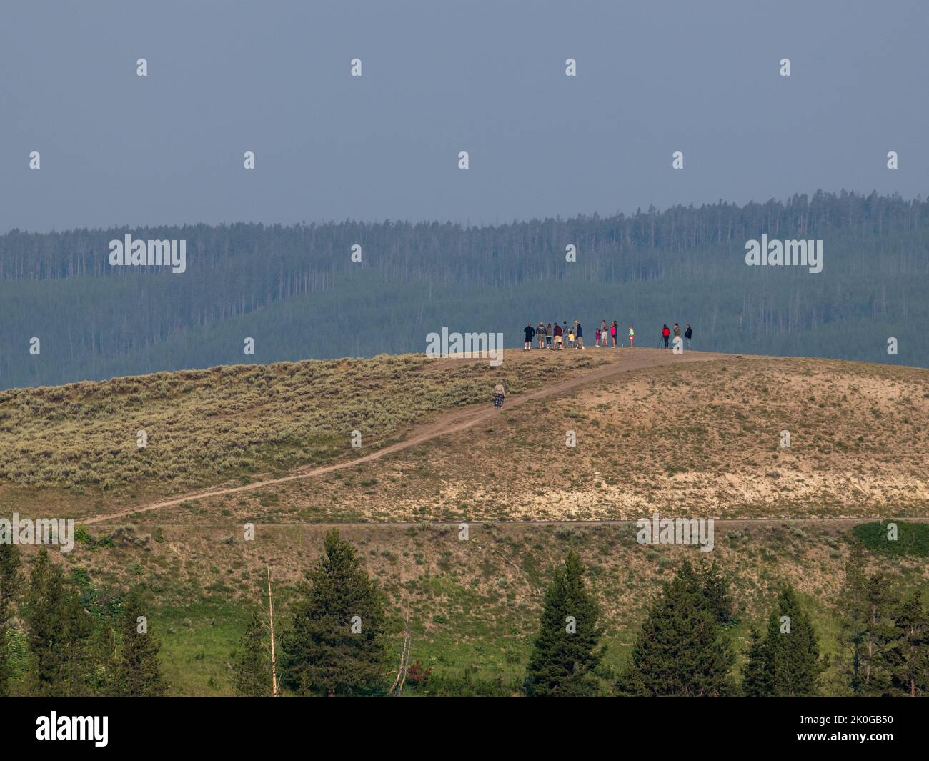 Crowd Gathers On HIllside Hoping To Spot Wolves in Yellowstone National ...