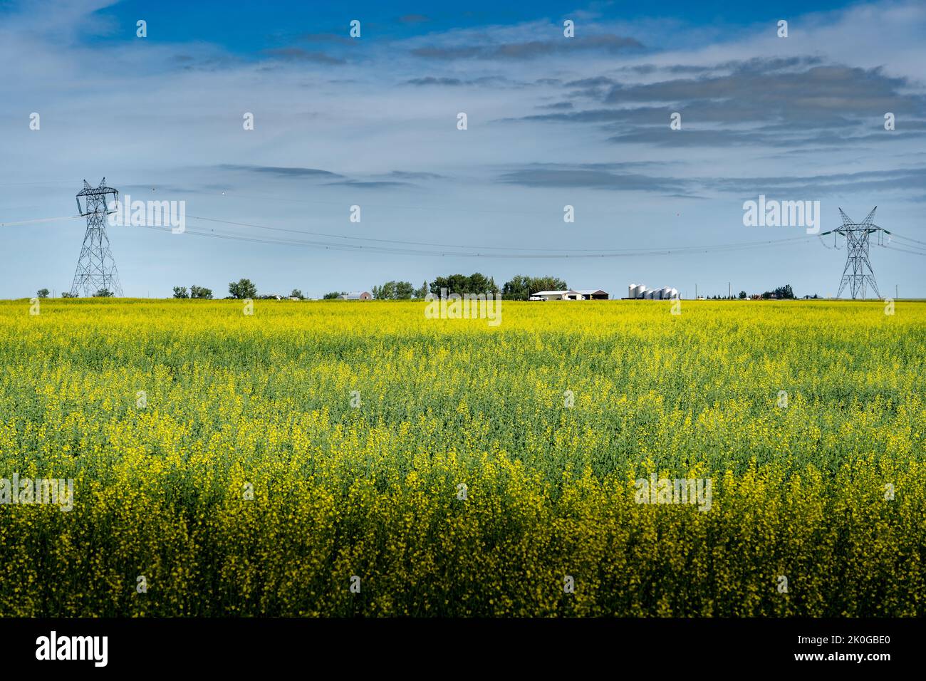 Electrical pylons holding power lines above a country farm along a ...