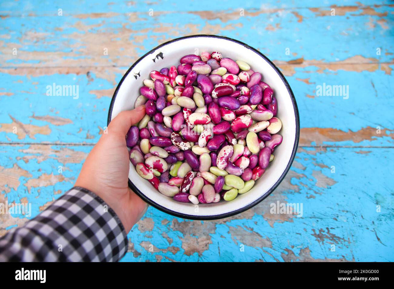 Defocus purple beans background. Hand holding plate on blue background ...