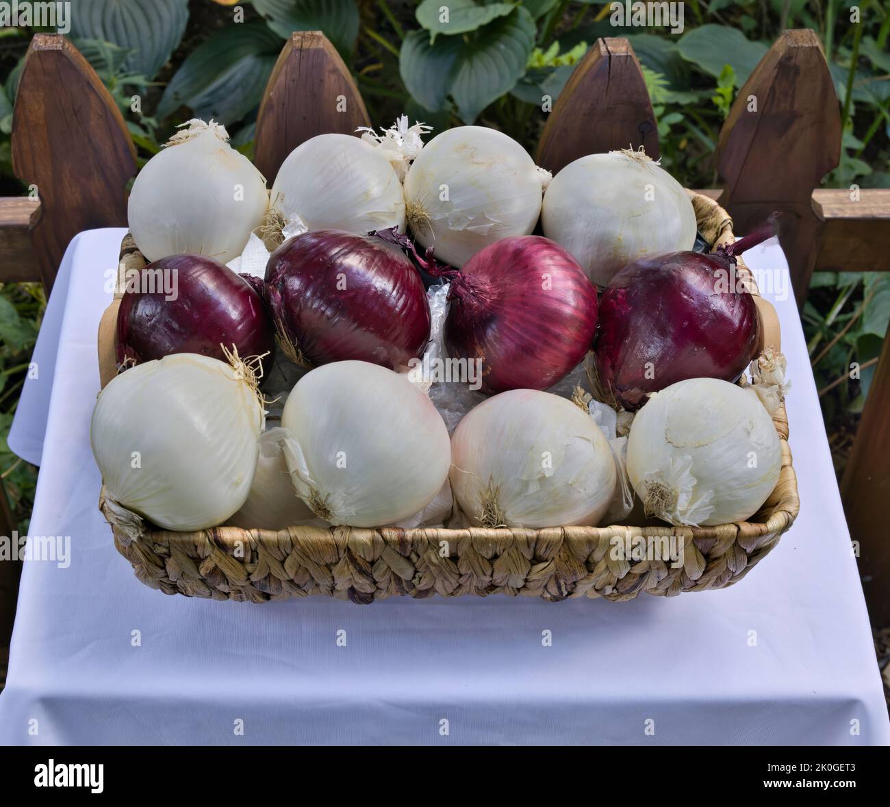 Giant onions hi-res stock photography and images - Alamy