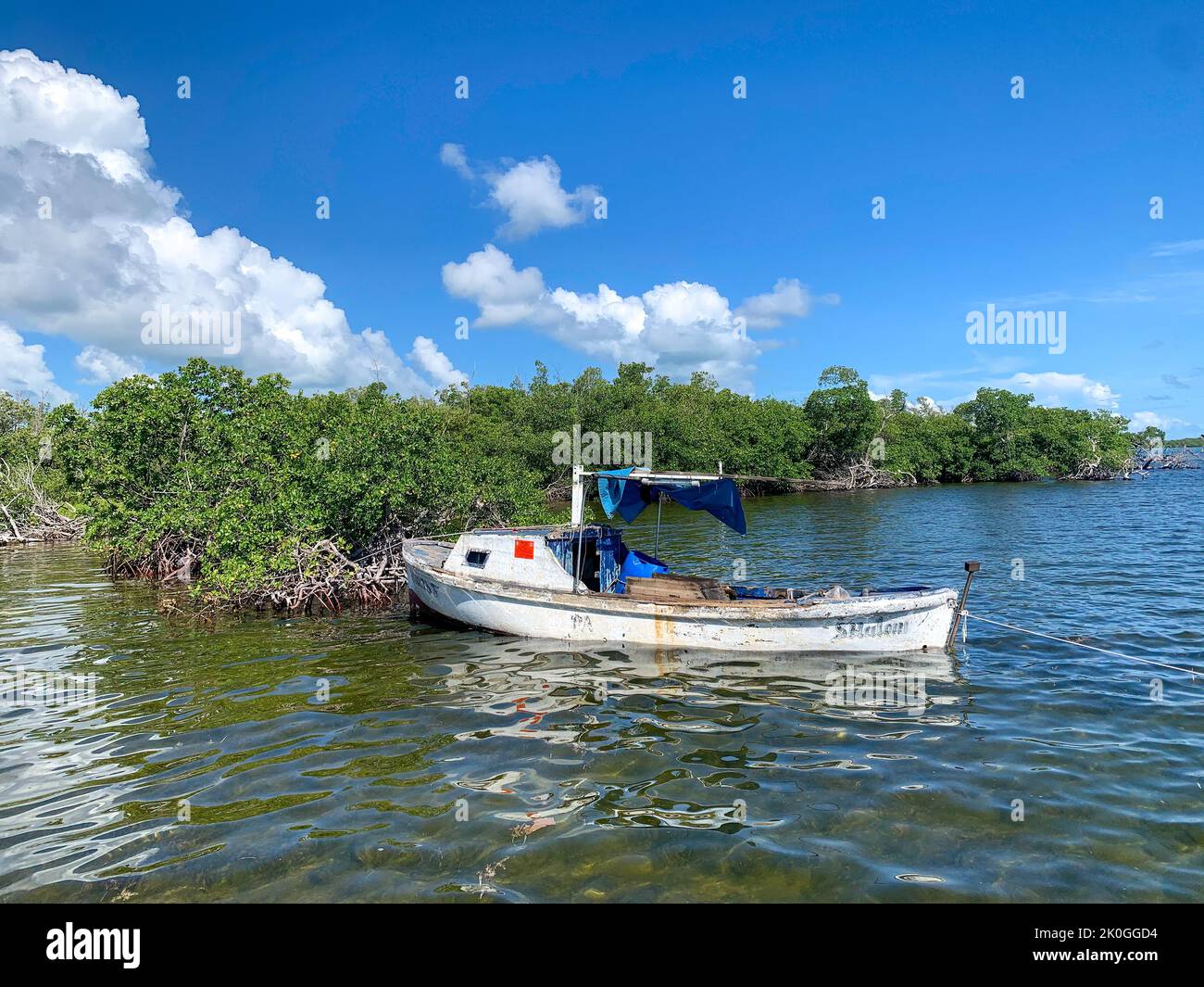 A Cuban Refugee chug tied off to the mangroves in the Florida Keys as ...