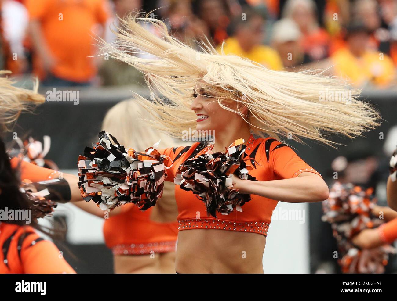 Cincinnati, United States. 11th Sep, 2022. Cincinnati Bengals ...