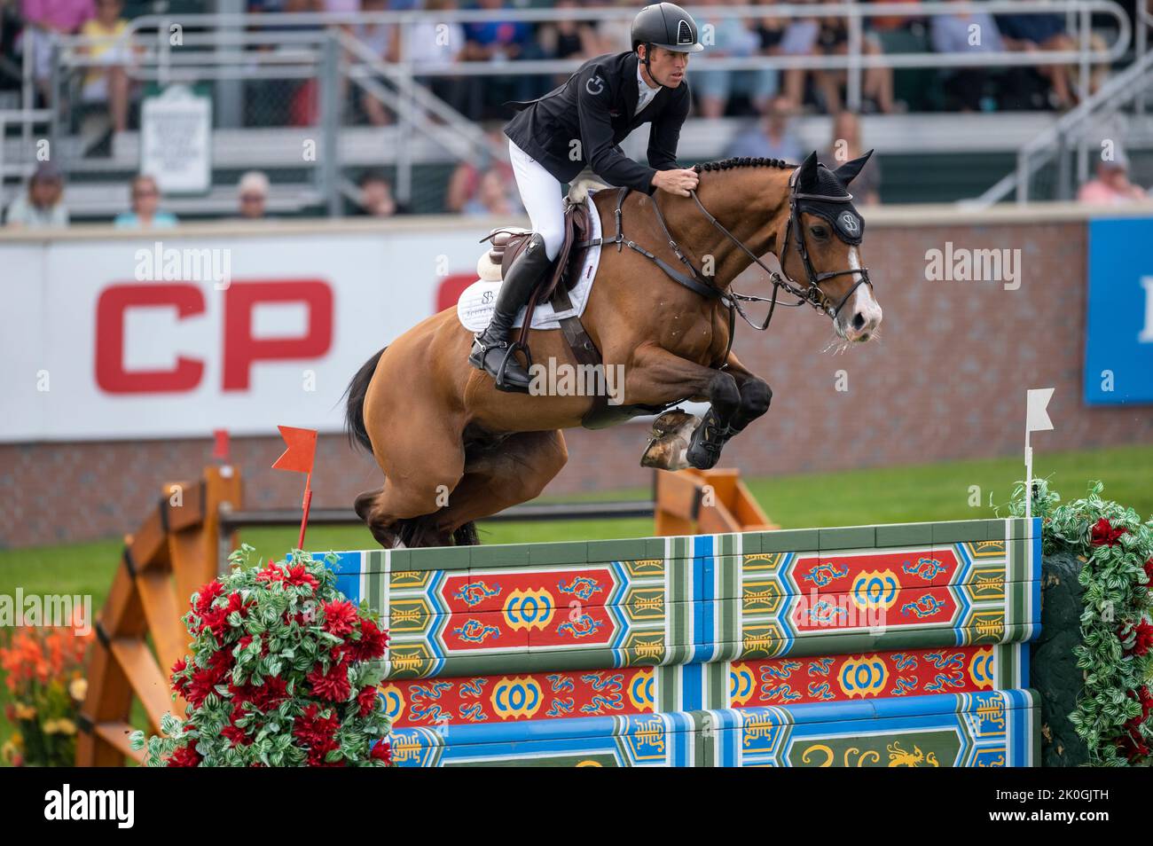 Equestrianism hi-res stock photography and images - Alamy