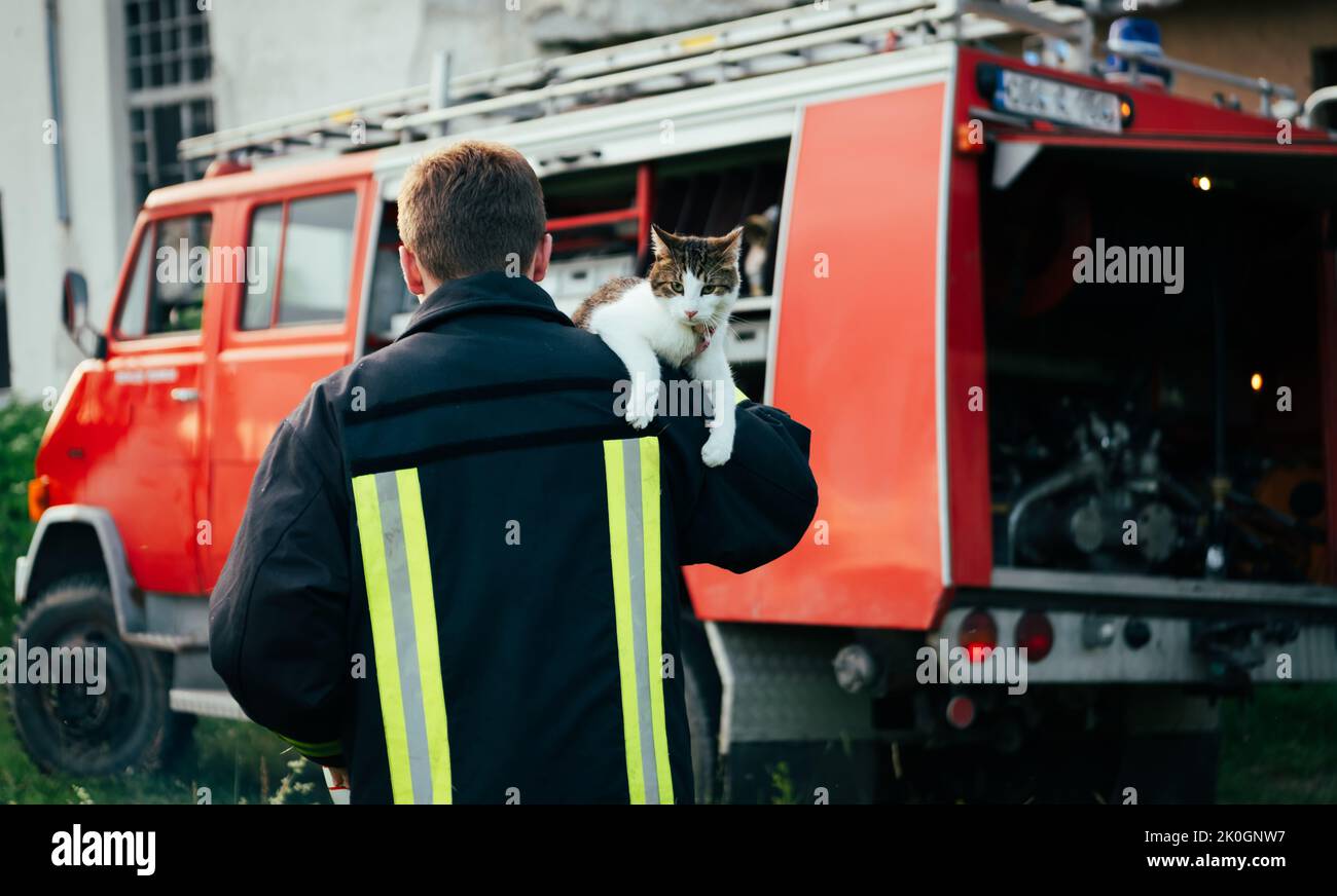 Cat rescue fire fighter hi-res stock photography and images - Alamy