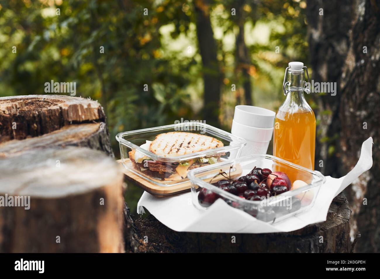 A small picnic in the forest on a stump, sandwiches, berries and ...