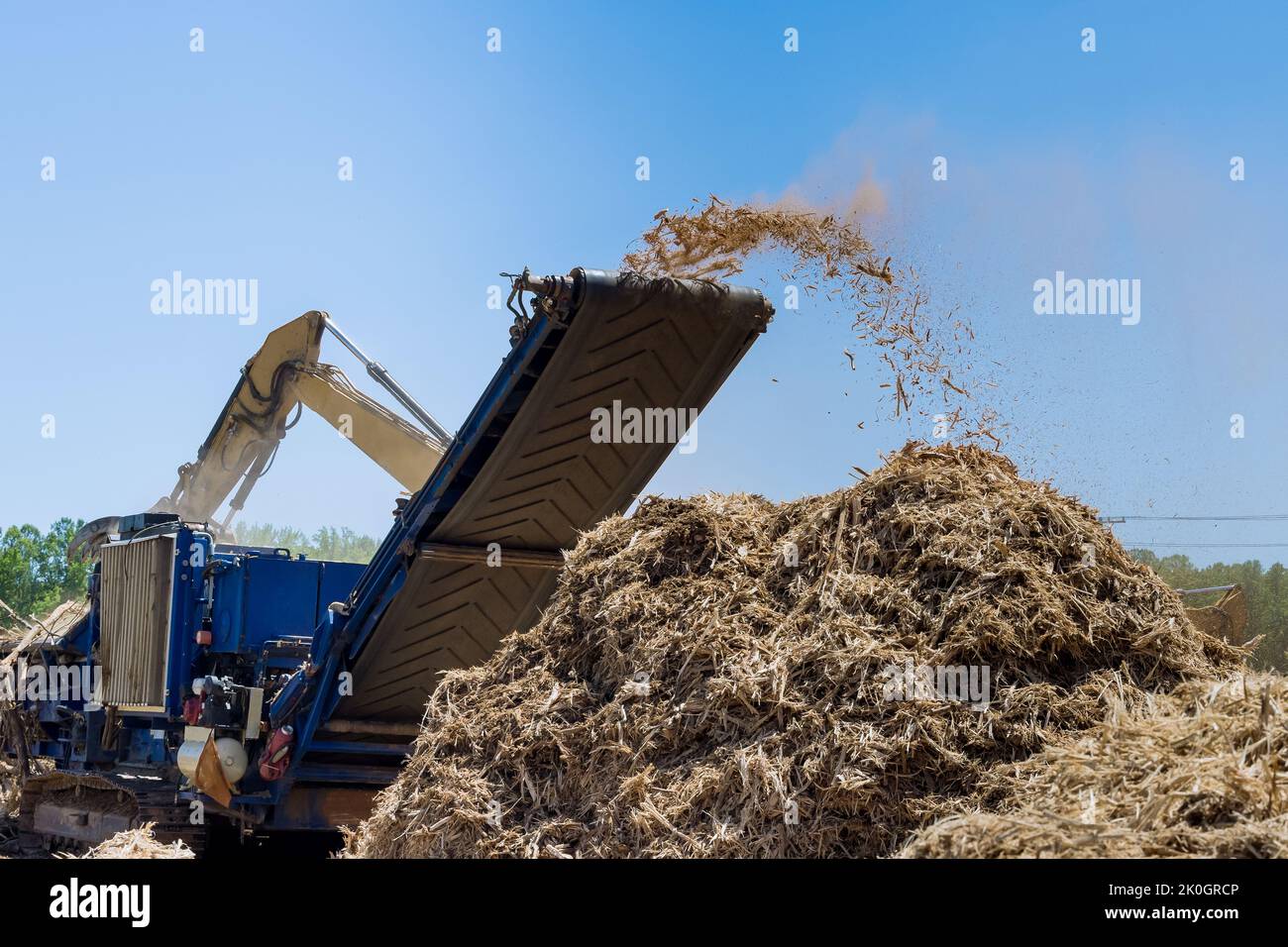 Tree trunks used in construction hi-res stock photography and images ...
