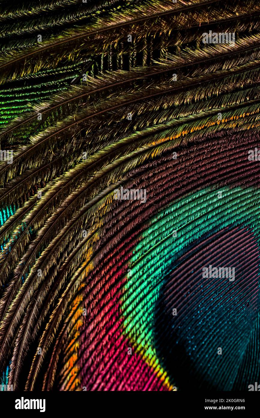 Modern wallpaper colors hi-res stock photography and images - Alamy