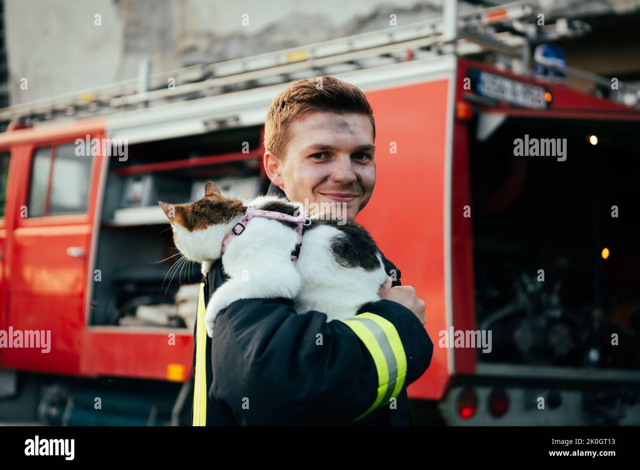 Cat fire engine hi-res stock photography and images - Alamy