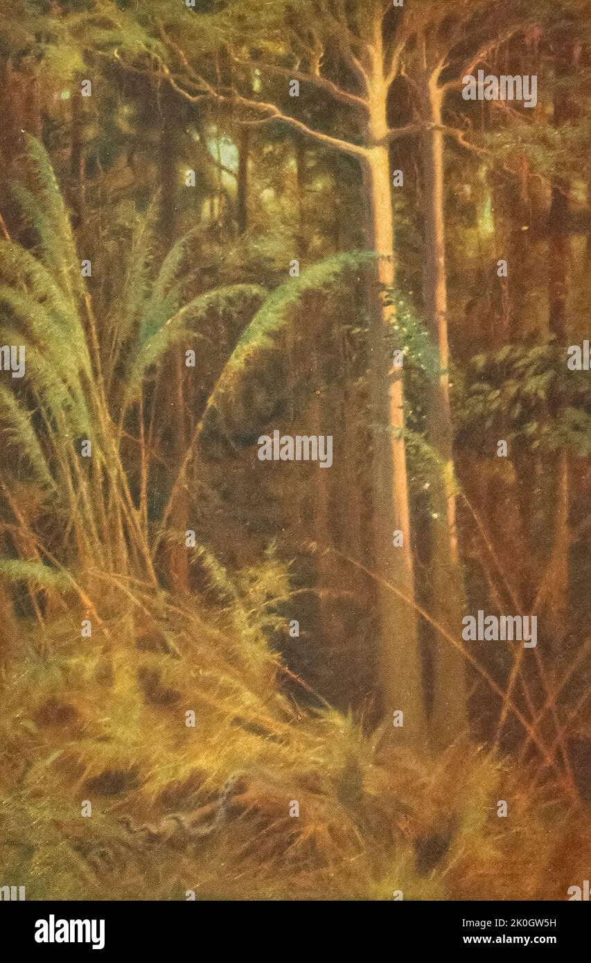 Jungle landscape painting hi-res stock photography and images - Alamy