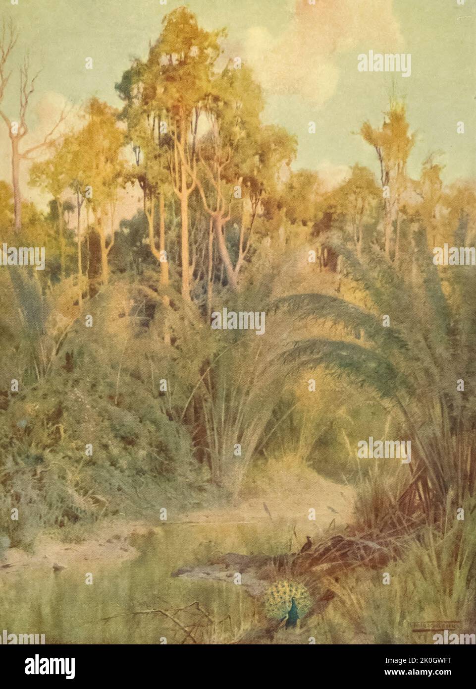 The Home of the Peacock from the book ' Burma ' painted and described ...