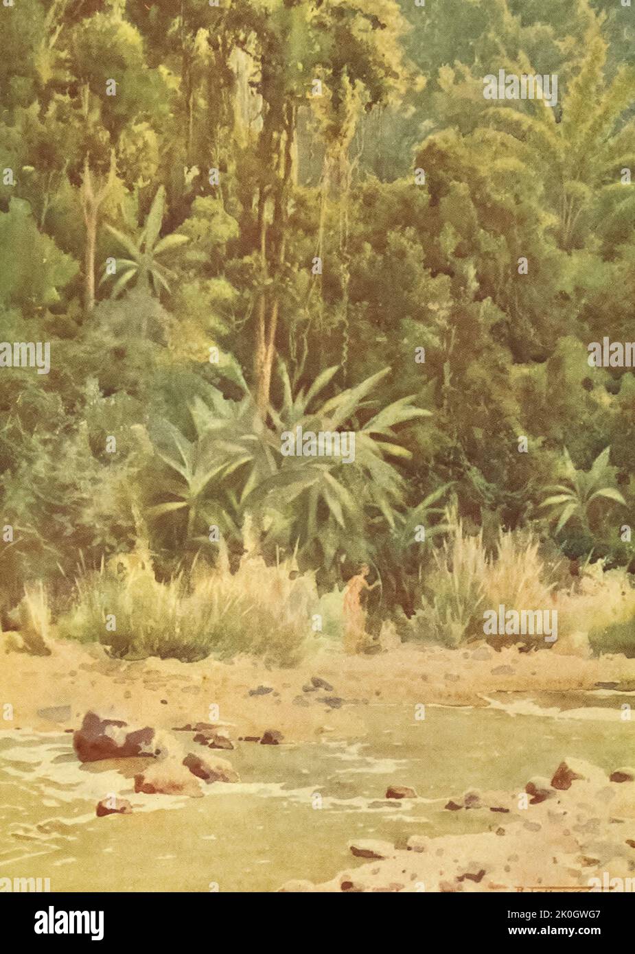 A Jungle Stream from the book ' Burma ' painted and described by Kelly ...