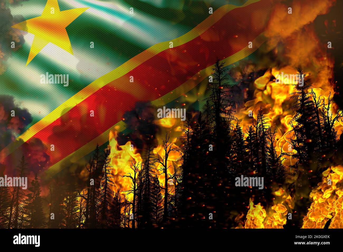 Forest fire natural disaster concept - heavy fire in the trees on ...