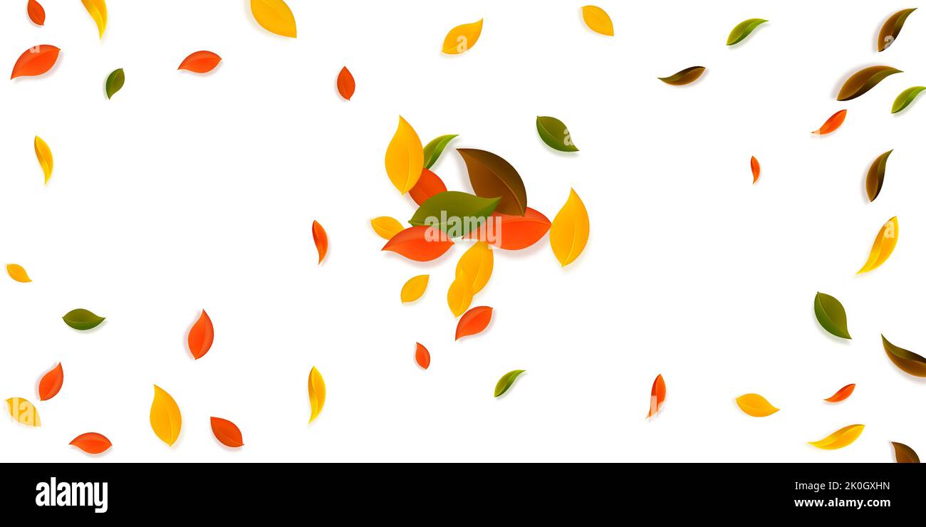 Falling autumn leaves. Red, yellow, green, brown chaotic leaves flying. Explosion colorful ...