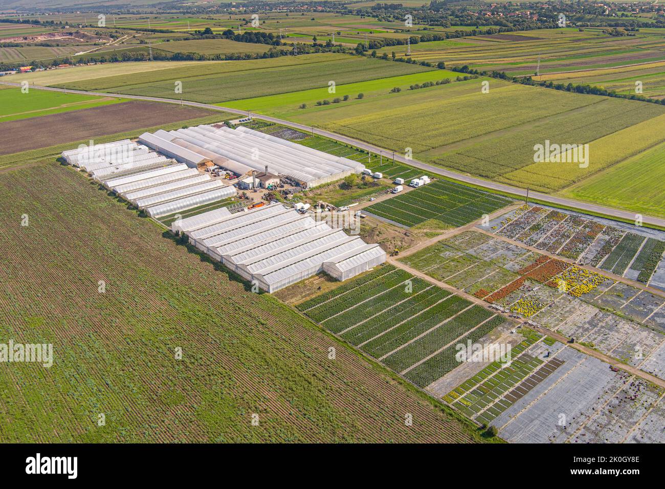 Aerial drone flight over greenhouses and a flower plantation on a ...
