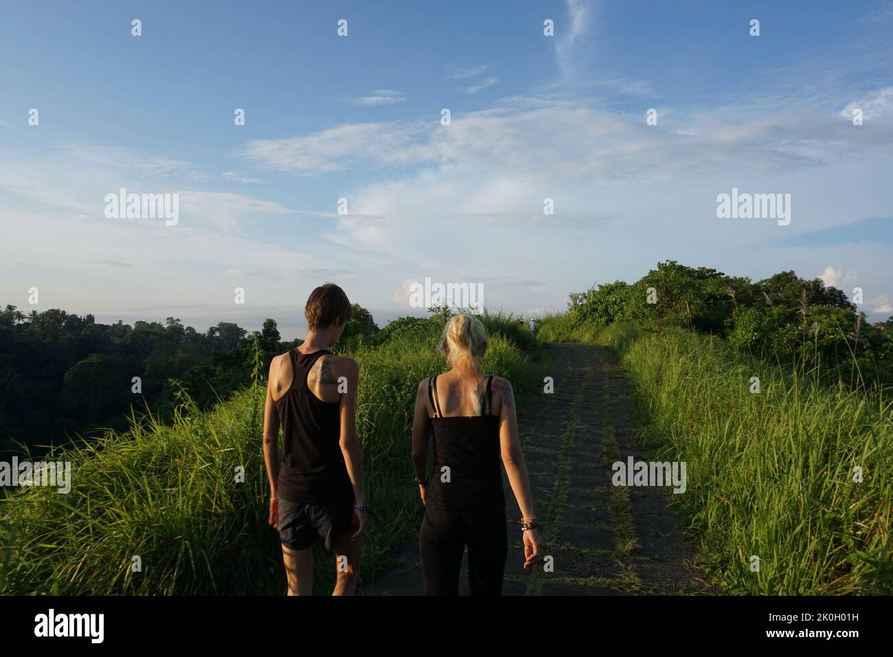 Women walk in the morning at Campuhan ridge walk in Ubud, Bali ...