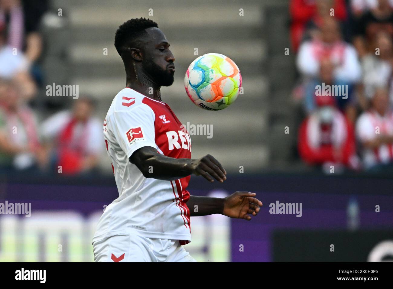Cologne, Germany. 11th Sep, 2022. Soccer: Bundesliga, 1. FC Köln - 1 ...
