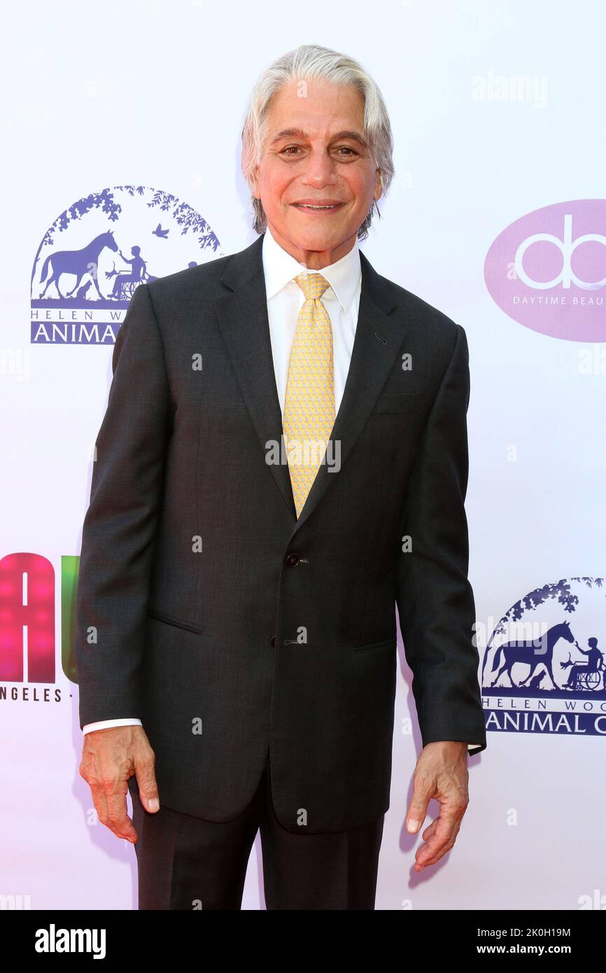 LOS ANGELES - SEP 11: Tony Danza at the 2022 Daytime Beauty Awards at ...