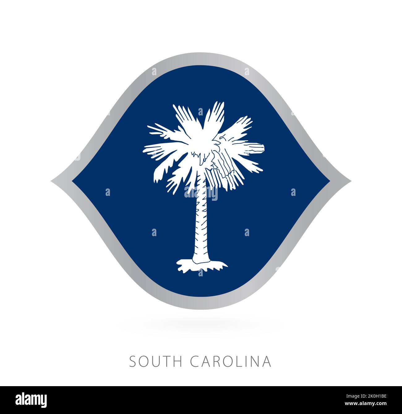 South Carolina national team flag in style for international basketball ...