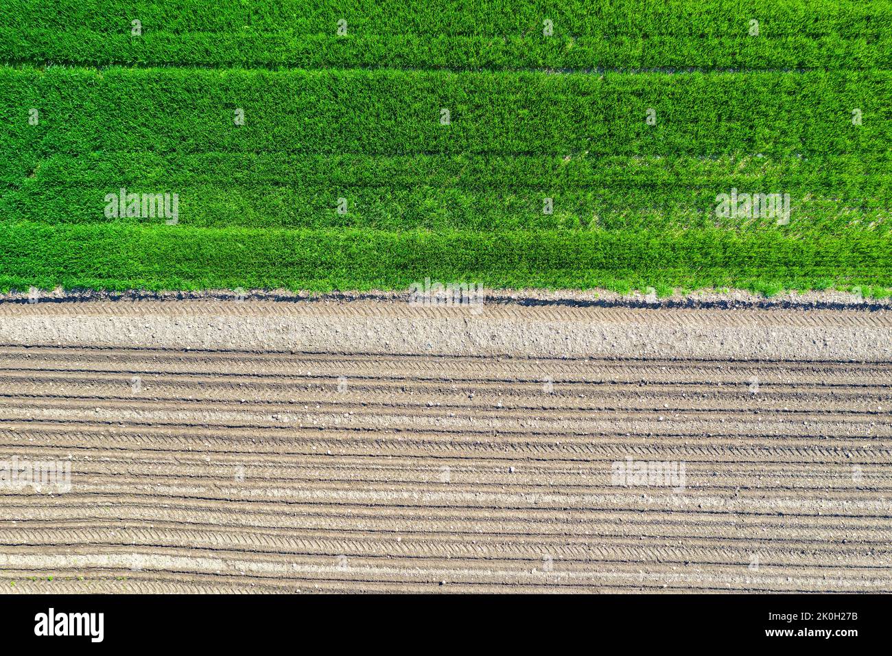 Aerial view.Rows of soil before and after planting.Horizontal view in ...