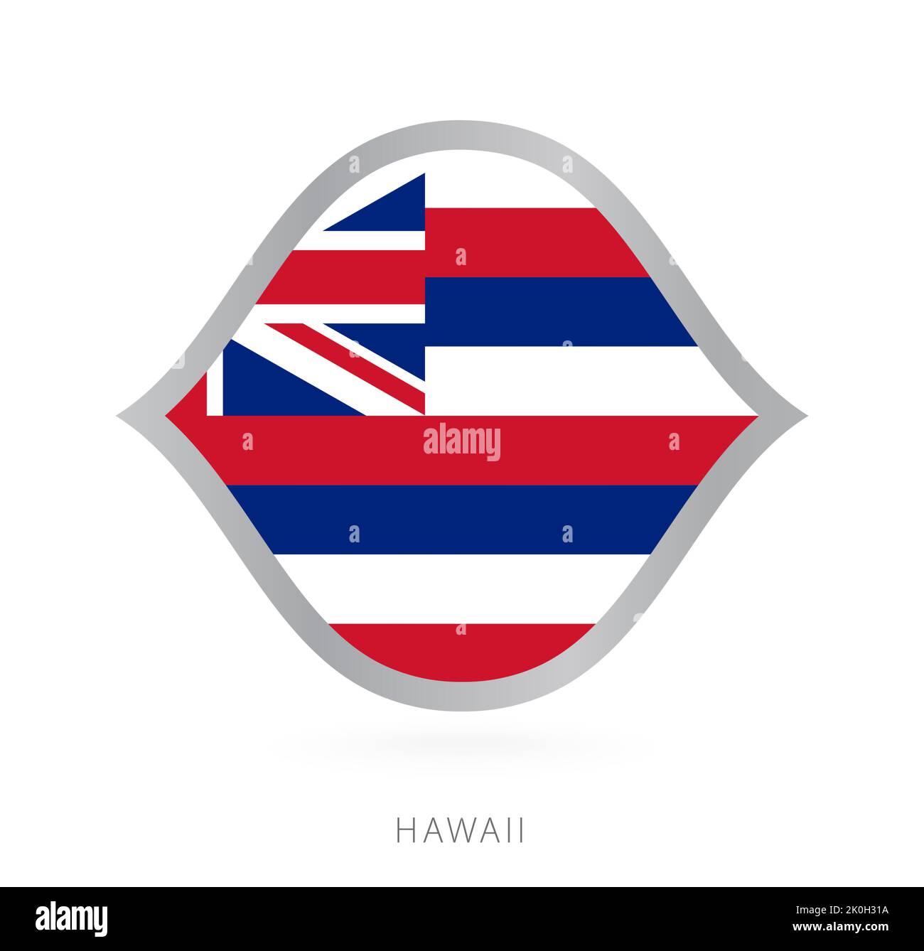 Hawaii national team flag in style for international basketball ...