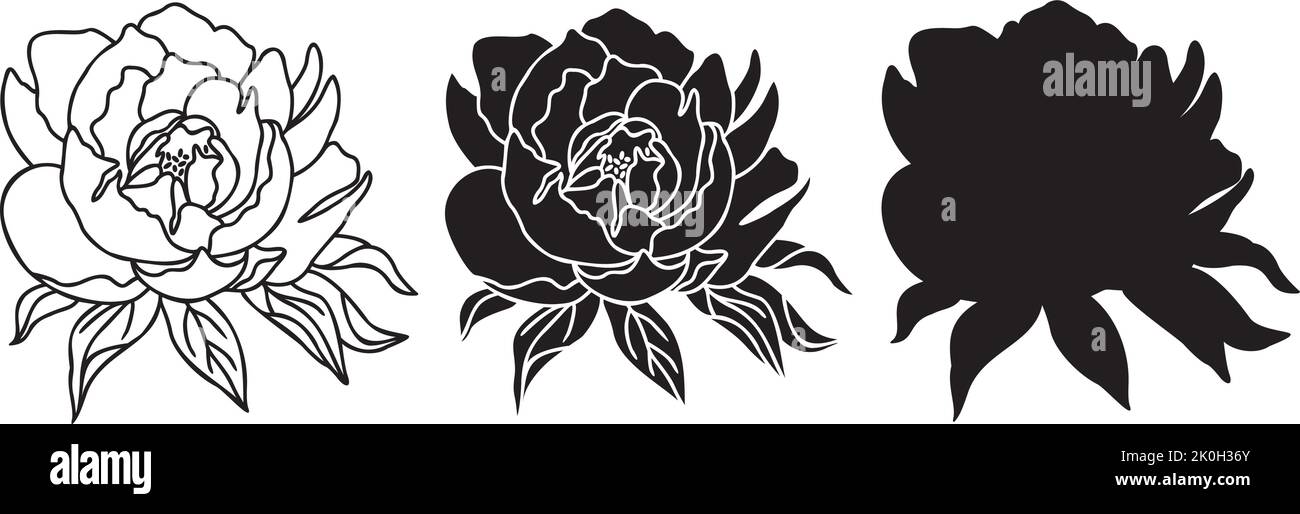 Peonies SVG outline. Hand drawn Peonies Florals Silhouette. One line ...
