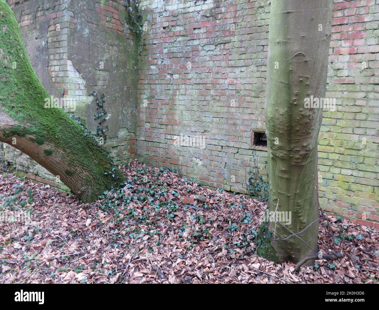 The Jurassic Way Long-distance trail. England. UK Stock Photo - Alamy