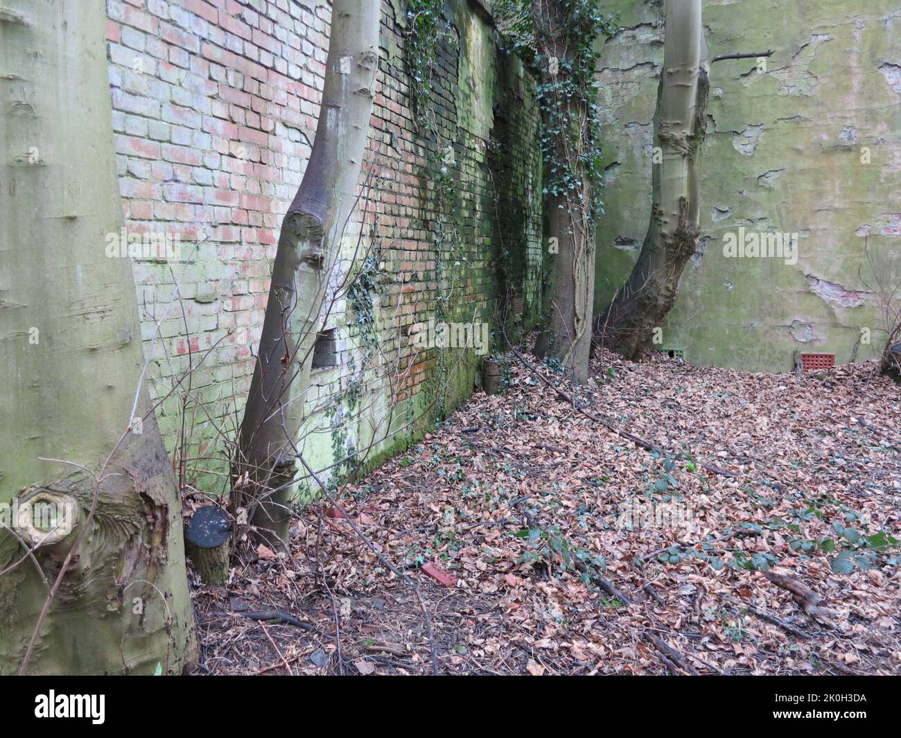 The Jurassic Way Long-distance trail. England. UK Stock Photo - Alamy