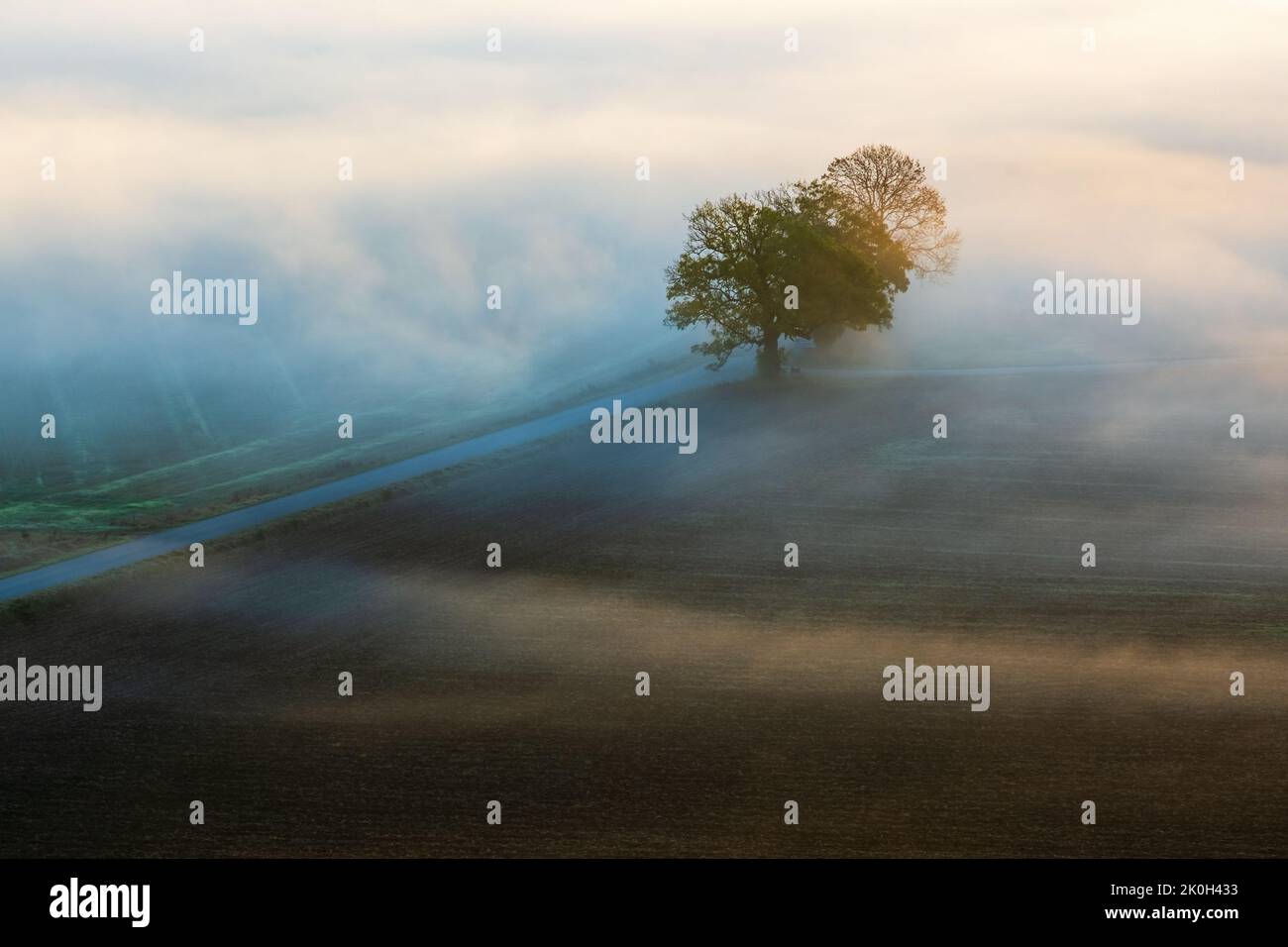 Foggy country road low hi-res stock photography and images - Alamy