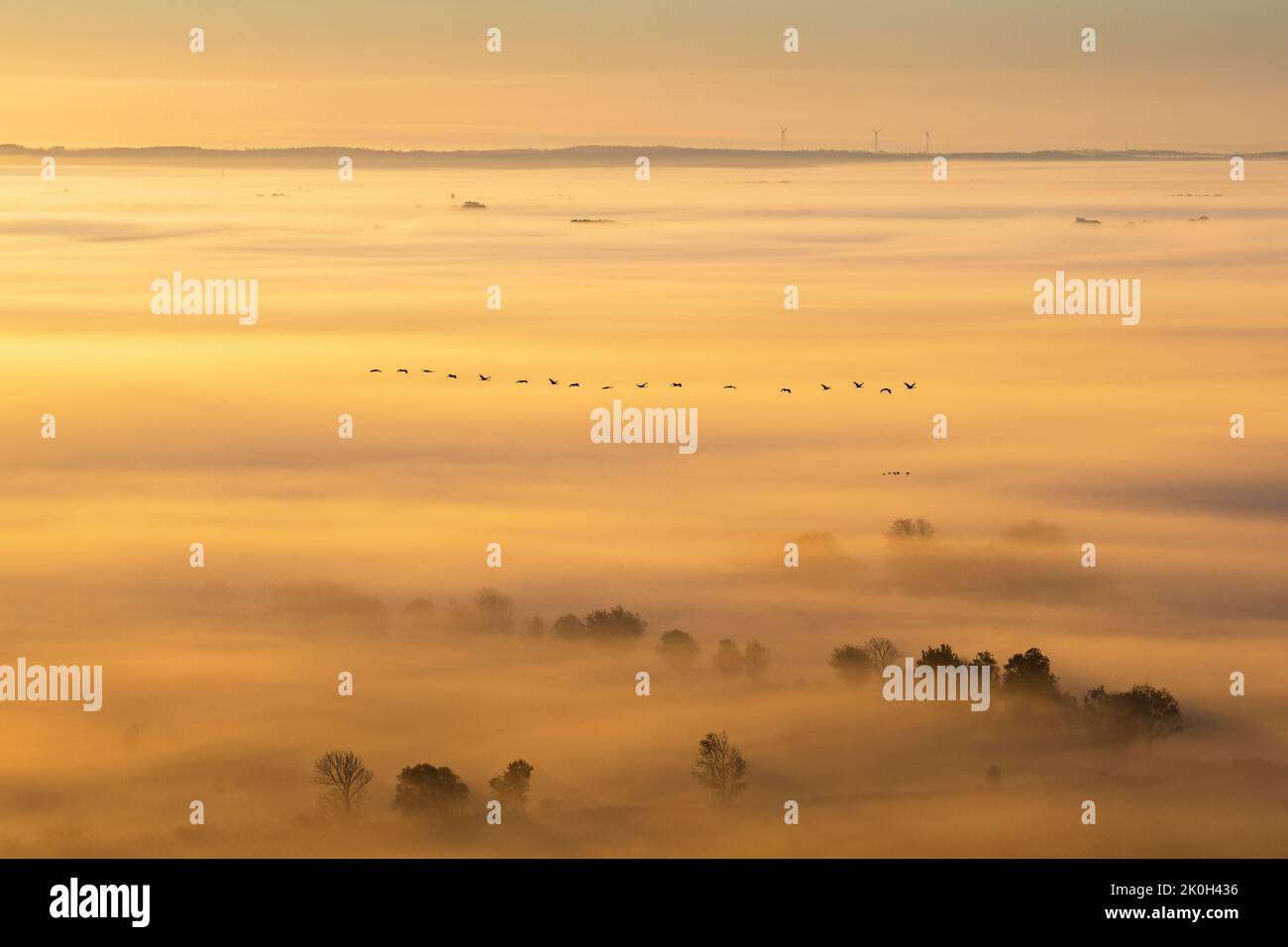 Flying mist hi-res stock photography and images - Alamy