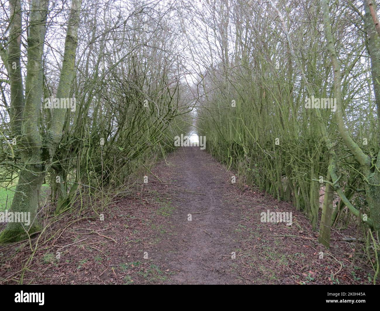 The Jurassic Way Long-distance trail. England. UK Stock Photo - Alamy