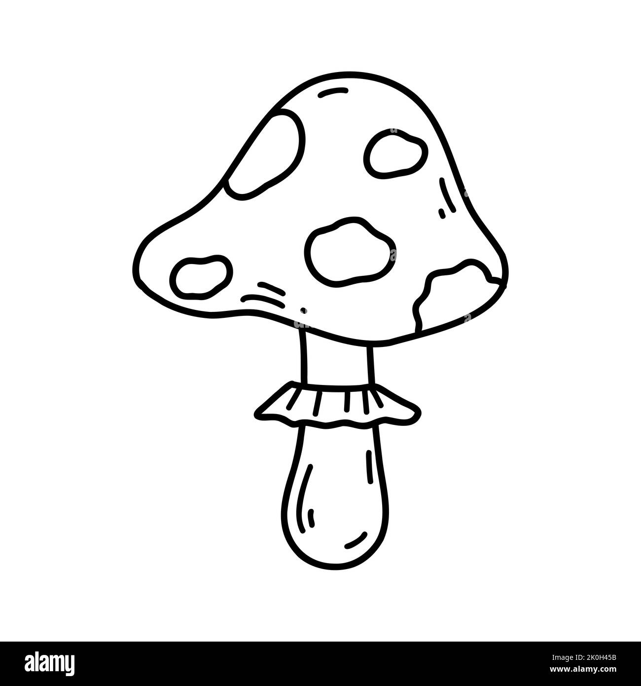 Hand Drawn Doodle Of Fly Agaric Amanita Mushroom Icon Vector Sketch