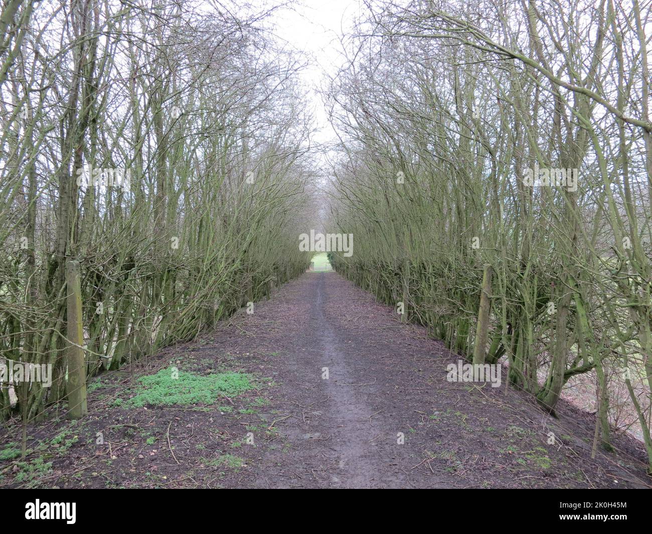 The Jurassic Way Long-distance trail. England. UK Stock Photo - Alamy