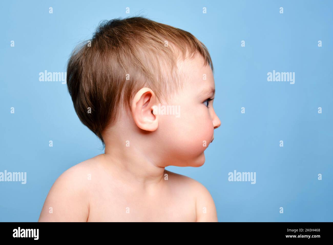 Toddler baby boy, studio blue background, copy space. Portrait in ...