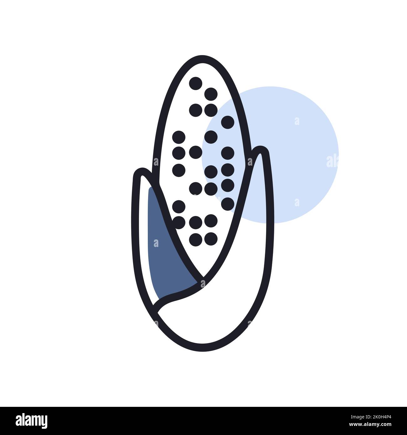 Corncob flat isolated icon. Agriculture sign. Graph symbol for your web ...