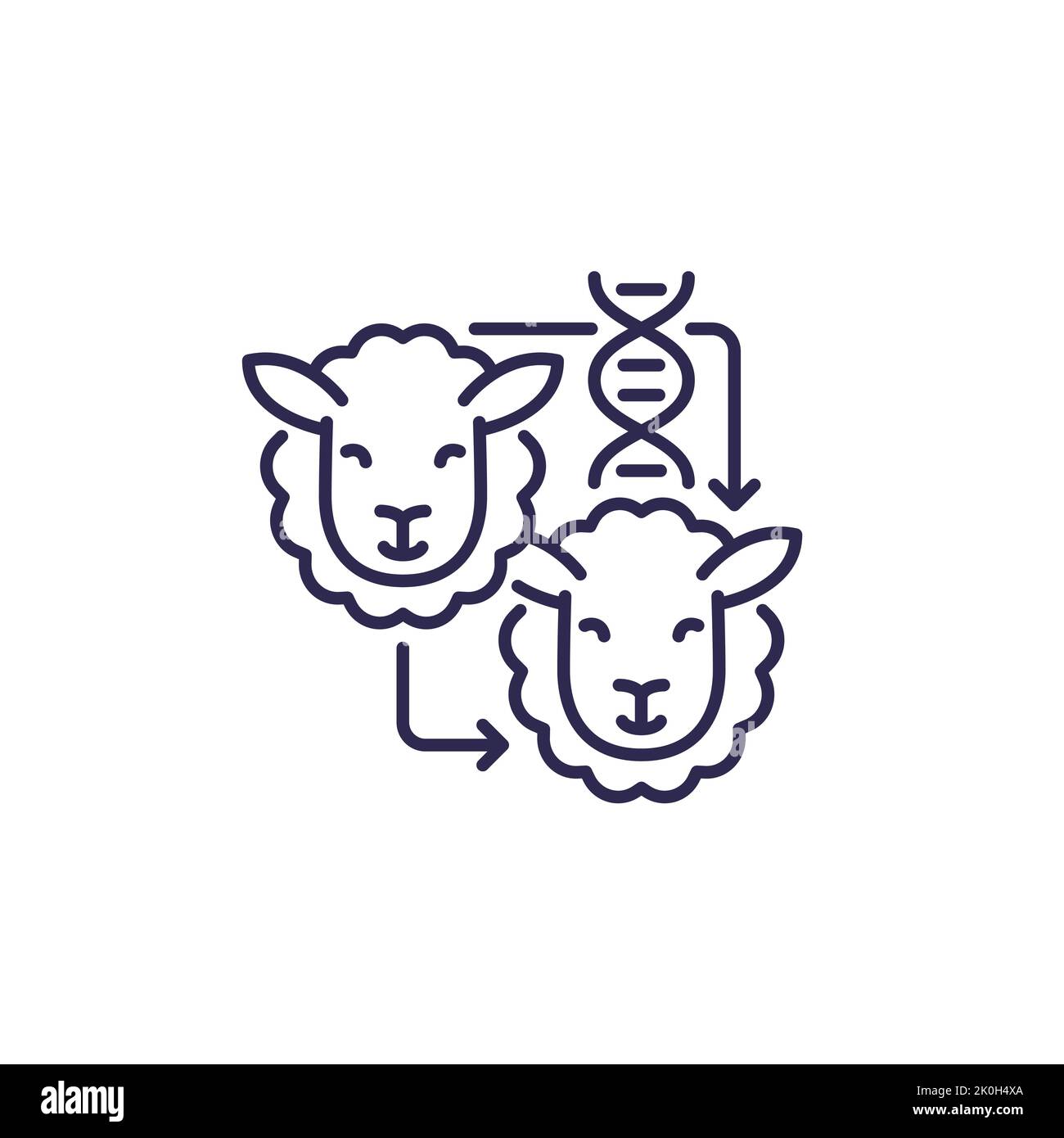 Research sheep Stock Vector Images - Alamy