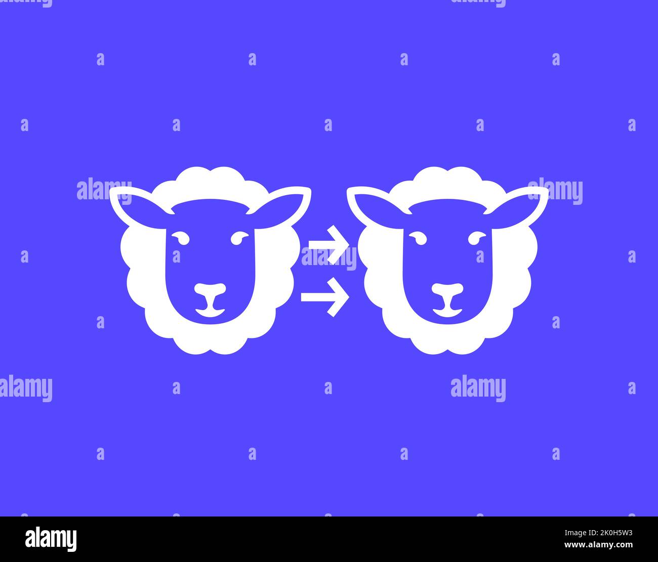 cloning icon with a sheep, vector Stock Vector Image & Art - Alamy