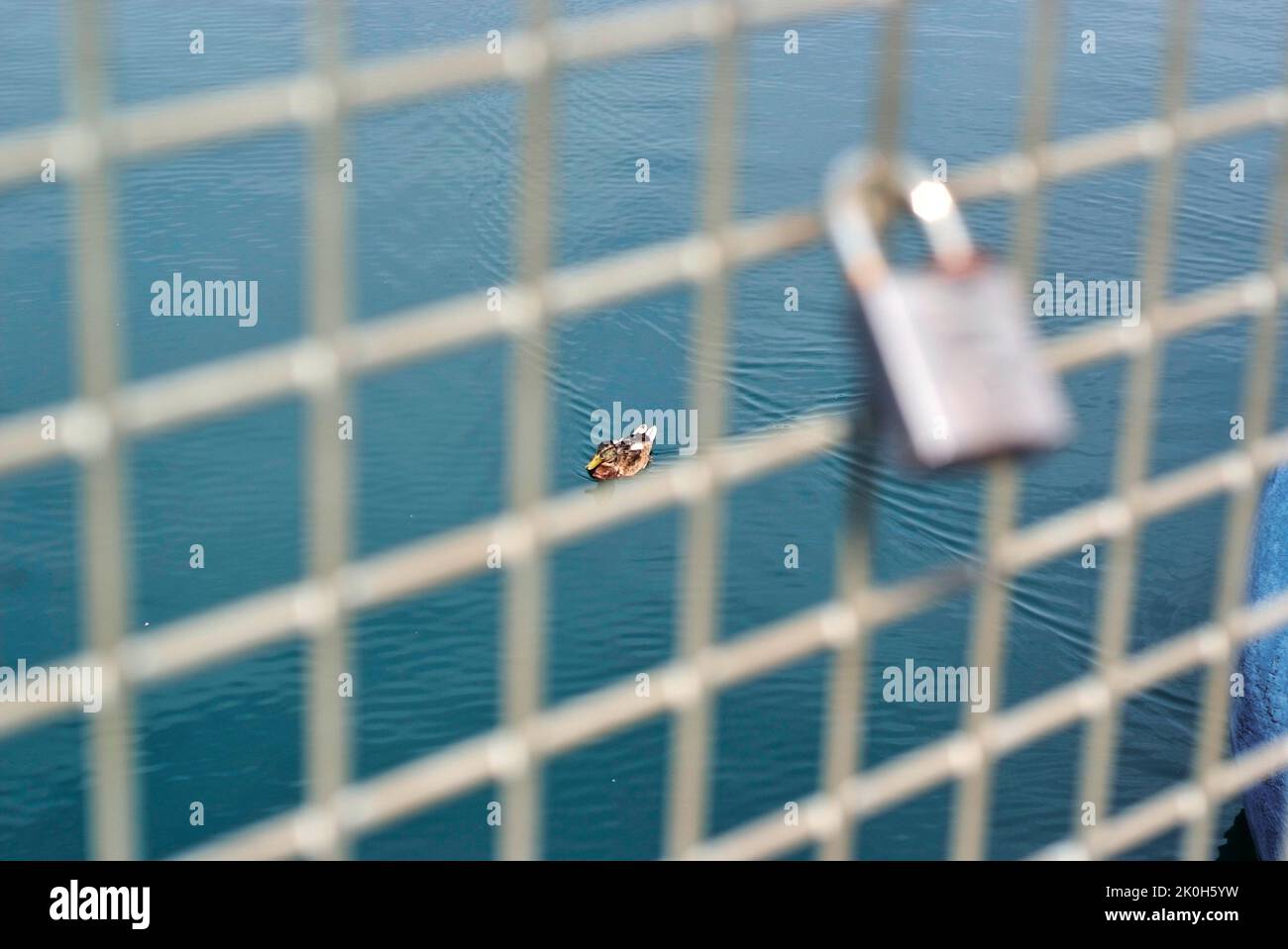 A boat on the blue water shot behind the metallic fence with a lock ...