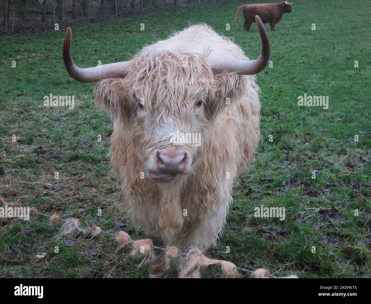 The Jurassic Way Long-distance trail. England. UK Stock Photo - Alamy