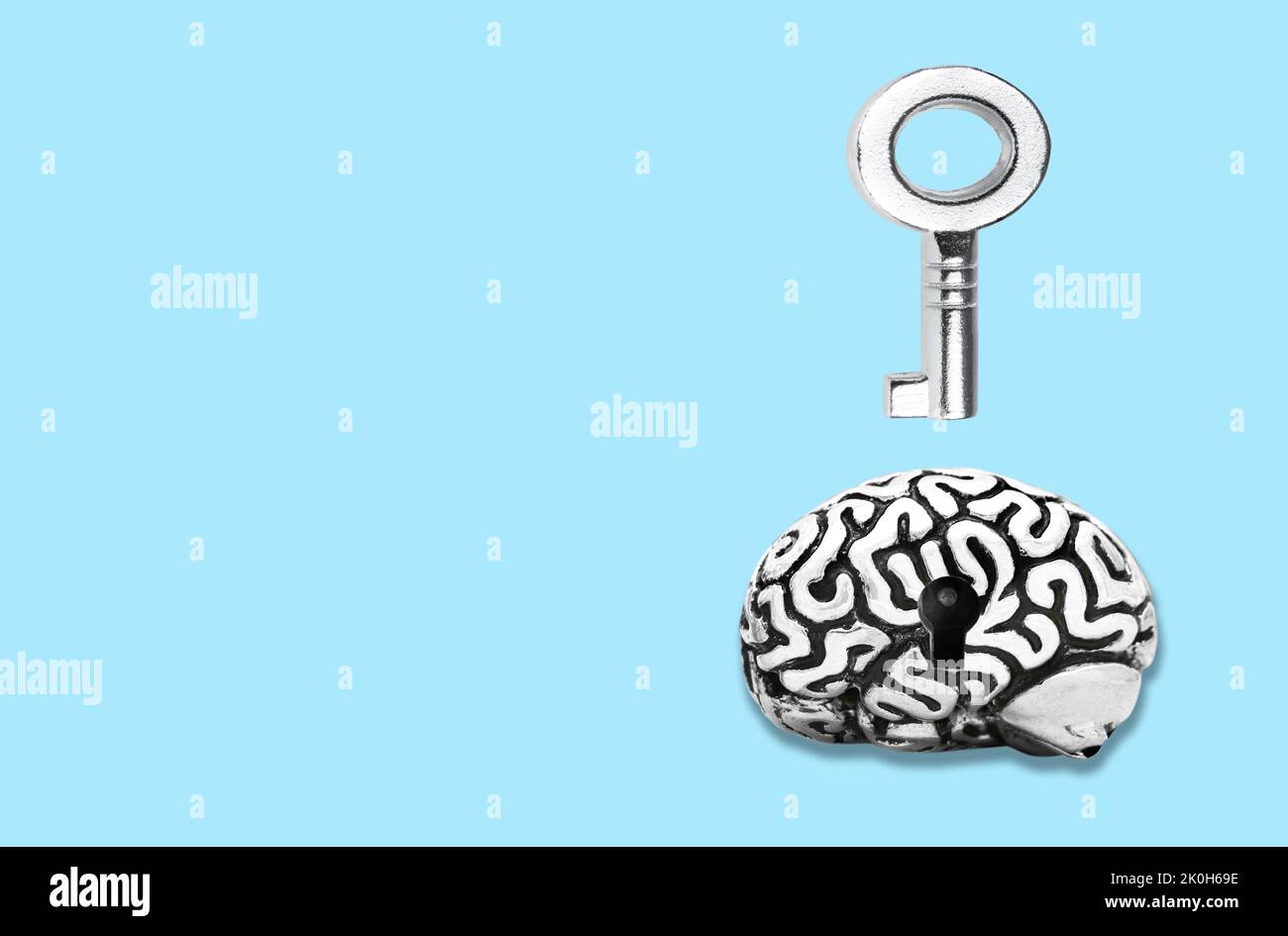 Silver-toned master key floating over an anatomical human brain copy ...