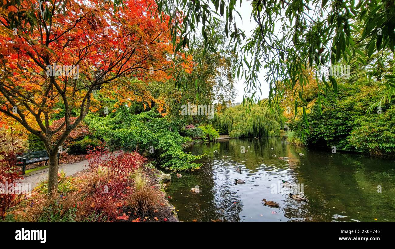 A fresh scenery of a colorful public park with a small pond and autumn ...
